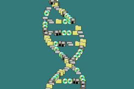 Mark Bathe | MIT Department of Biological Engineering